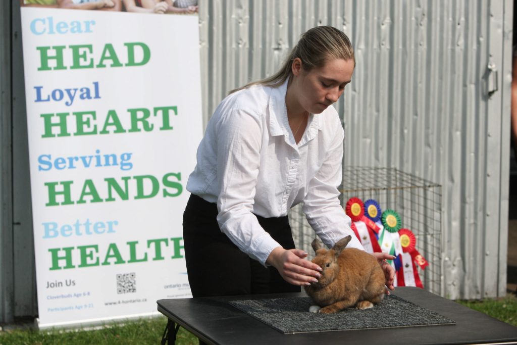 Photos of 2022 Beeton Fall Fair | Beeton Fair