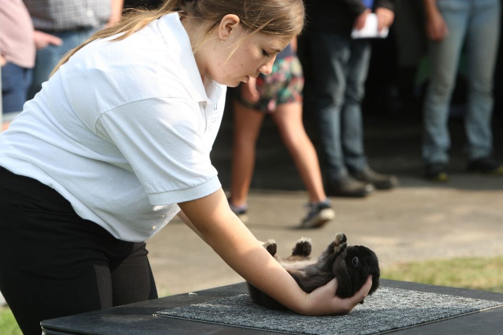 Photos of 2022 Beeton Fall Fair | Beeton Fair
